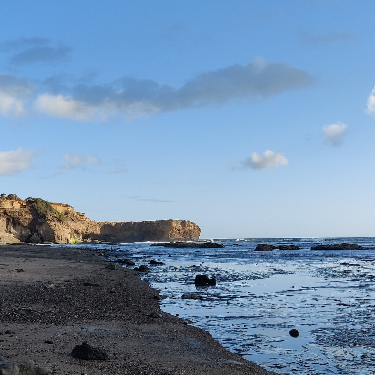 Otter Crest Beach – laurenhanna.art